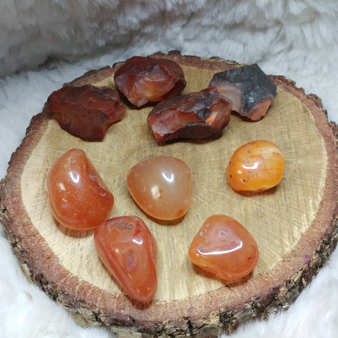 Carnelian | Bohemian Cove